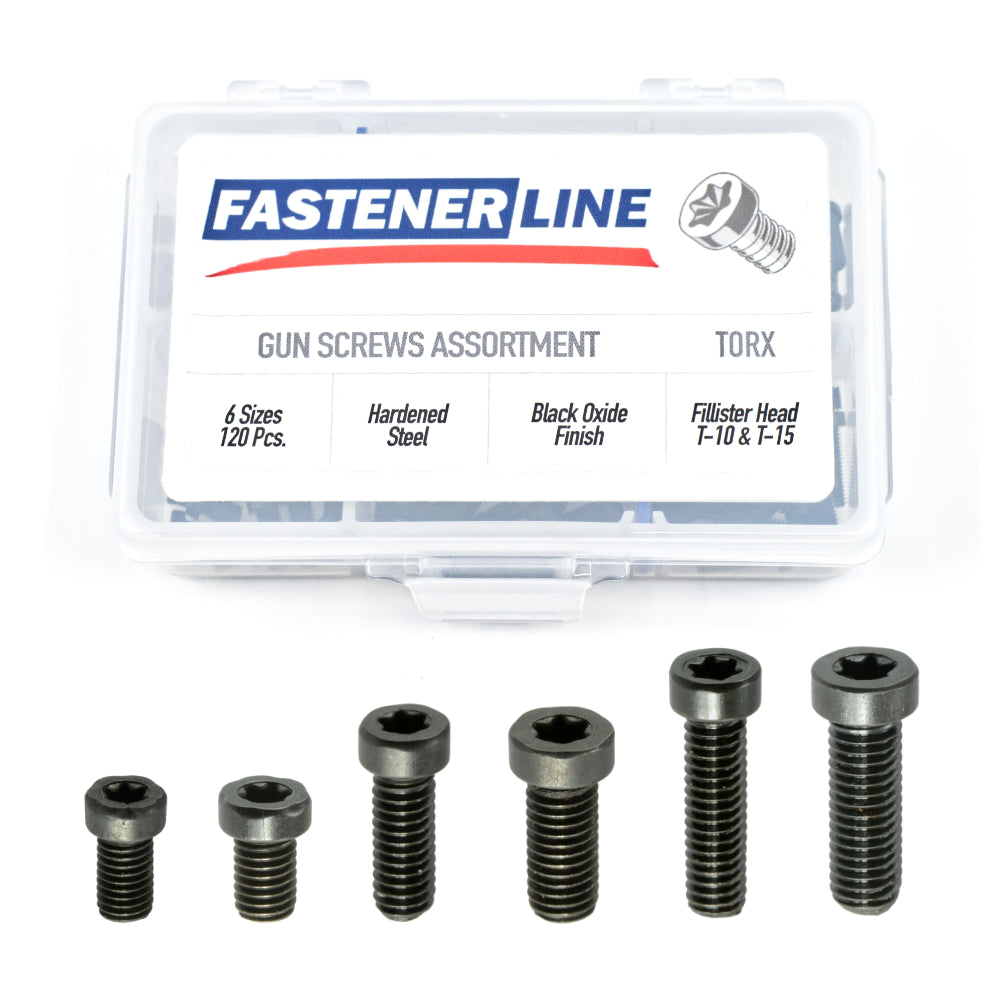 FastenerLine Small Fillister Head Torx Gun Screws Assortment (120 piec ...