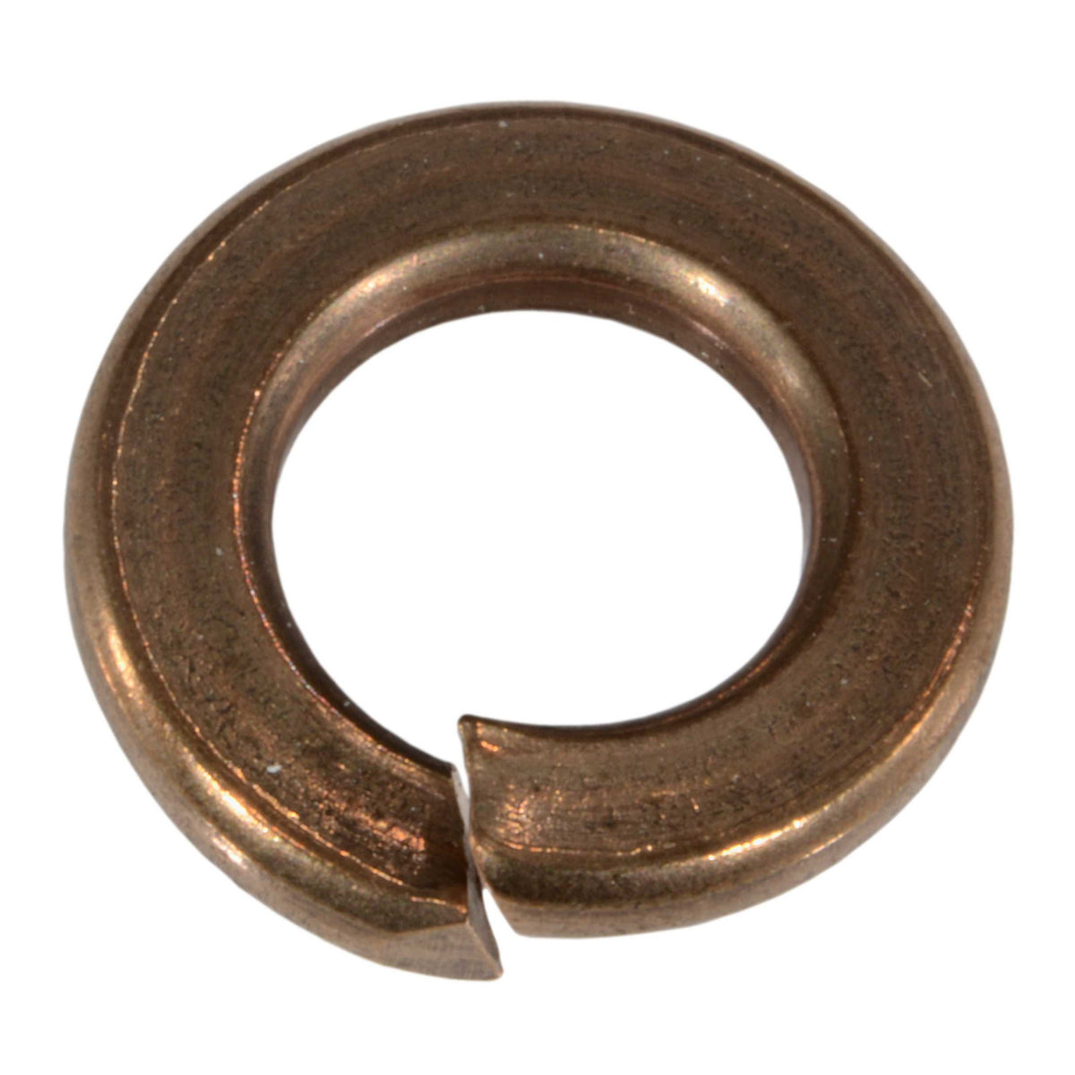 5/16" x 19/32" Silicon Bronze Lock Washers — Fastener Line