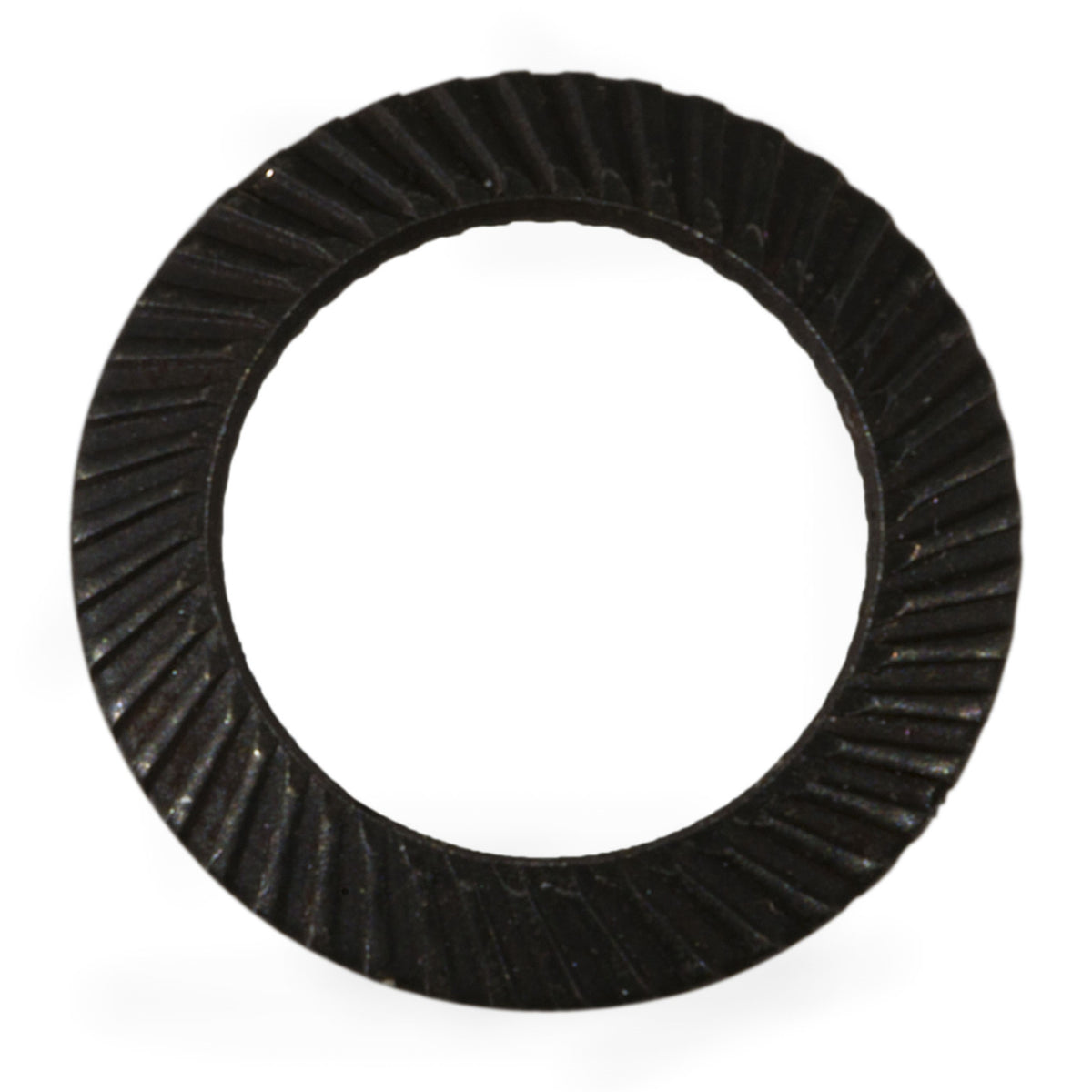 6mm x 9.8mm Zinc Plated Steel Safety Lock Washers — Fastener Line