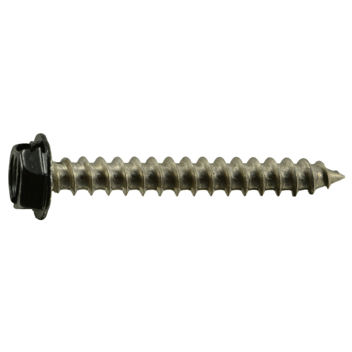 #10 x 1-1/2" Black Painted 18-8 Stainless Steel Hex Washer Head Sheet ...